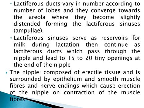 Anatomy Of The Breast And Physiology Of Lactation 1 Copyppt