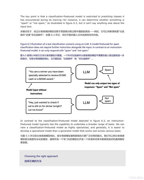 Build A Large Language Model From Scratch第六章gpt 4o翻译版 Csdn博客