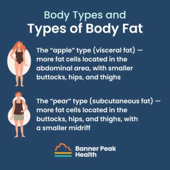 The Two Types Of Body Fat Worth Knowing About