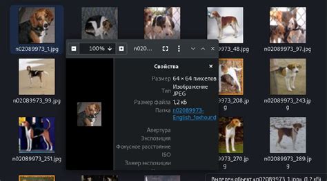 Python I Have A Problem With Train My Gan Model I Dont Know How To Fix It Stack Overflow