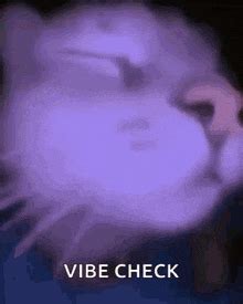 Vibe Check  Vibe Check Discover And Share S