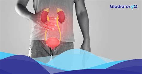 Impact Of Lower Urinary Tract Symptoms On Male Sexual Health