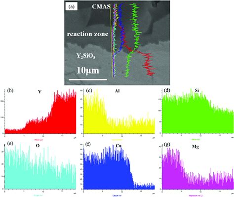 Eds Linear Scan Results Of Cross Section Of Y 2 Sio 5 Si Tebc After Download Scientific