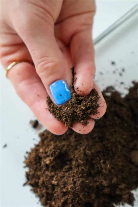 Isopod Substrate Materials Mixes And What Actually Works