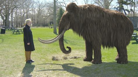 Effort To Clone Woolly Mammoth Takes Big Step Forward Huffpost Impact