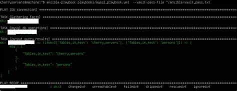 How To Use Ansible Vault In Playbook Secure Your Configuration Cherry Servers