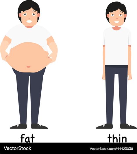The Opposite Of Thin Opposite Word For Thin Synonyms And Antonyms Zzsbqa