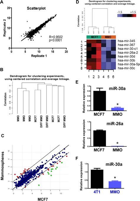 Mirna Profiling In Mammospheres An Oligonucleotide Array Was Used For