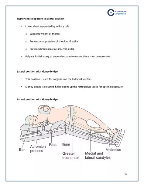 In App Notes Conceptual Anesthesia