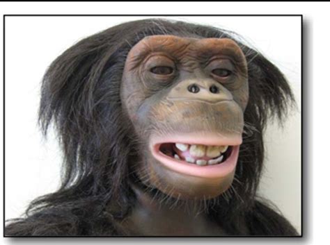 Figure From When My Robot Smiles At Me Enabling Human Robot Rapport