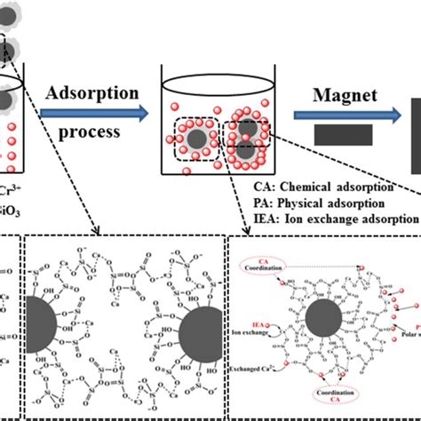 Adsorptionseparation Process Of Fe3o4casio3 Toward Heavy Metal Ions