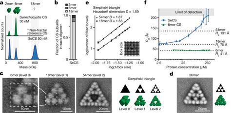 Nanoimaging Services On Linkedin Emergence Of Fractal Geometries In
