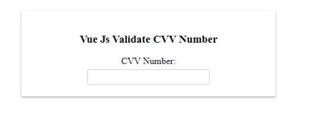 Vue Js Validate CVV Number Danatec