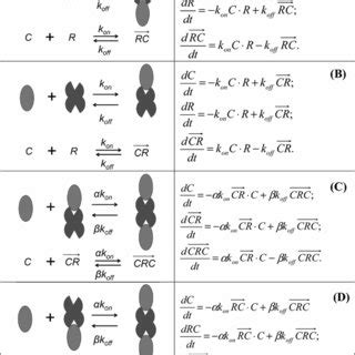 Schematic Representation Of Binding Interactions For One To Two Binding Download Scientific