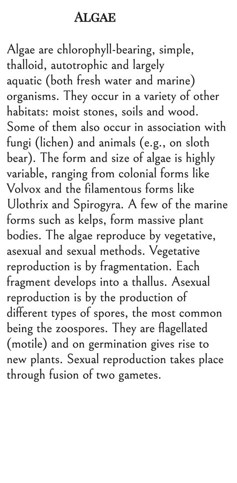 About Algae Algae Algae Are Chlorophyll Bearing Simple Thalloid