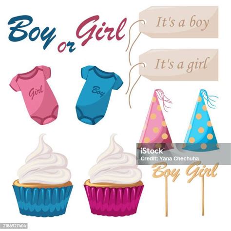 성별 파티를 설정합니다 생일 공휴일 축하 초대의 컨셉 배너 엽서에 대 한 벡터 일러스트 레이 션 공휴일에 대한 스톡 벡터 아트 및 기타 이미지 Istock