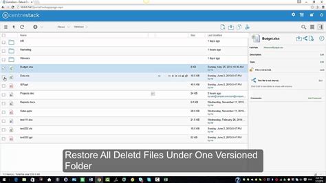 Restore All Deleted Files Under One Versioned Folder In Centrestack
