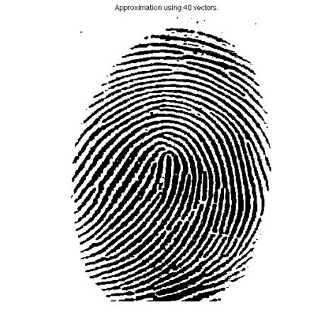 Svd Fingerprint Test