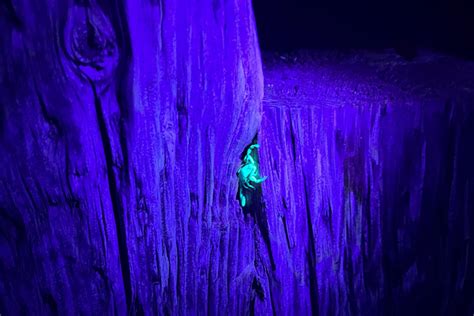 Postcards From The Road 9 By C Jane Taylor