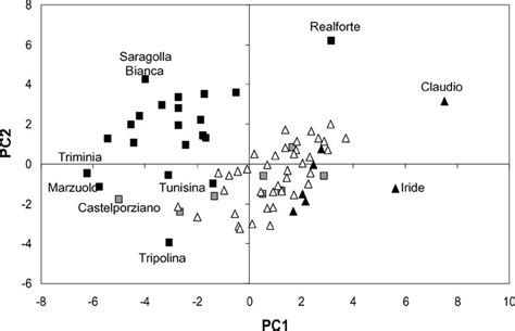 Scores On The First Two Axes Of A Principal Component Analysis