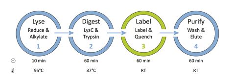 Preomics On Twitter Sample Preparation For Itraq And Tmt Experiments Just Became More