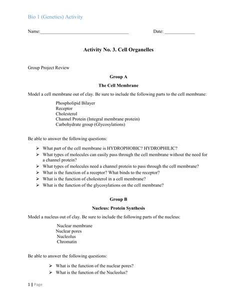 Cell Organelle Project Genetics Activity