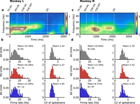 figures and data in beta oscillations and waves in motor cortex can be