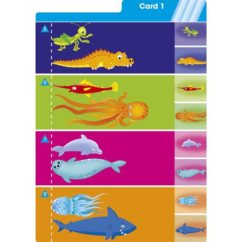 The Maths Box Early Years Eduspace Supplies