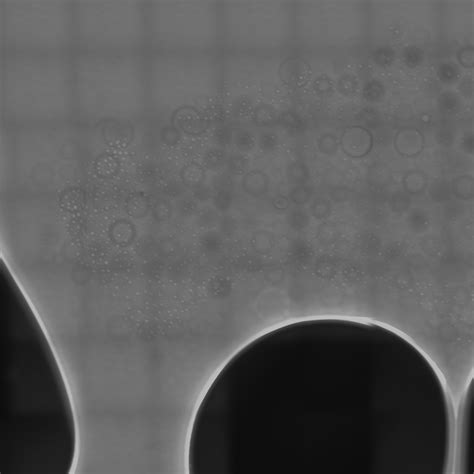 Ehsan Moradpurtari Roboflow Universe