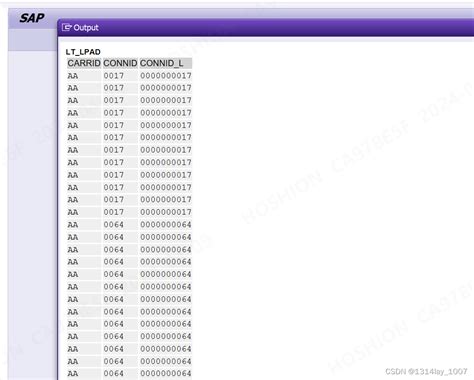 Abap 前导0的处理abap 前导零 Csdn博客