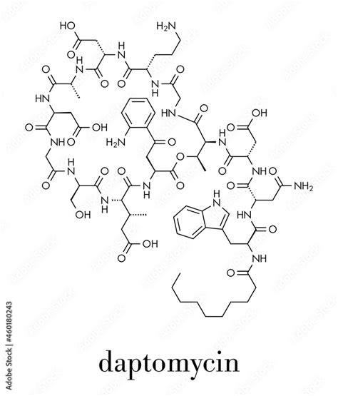 Daptomycin Antibiotic Drug Molecule Skeletal Formula Stock Vector Adobe Stock