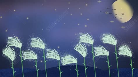 Night Moonlight Sky Beautiful Powerpoint Background For Free Download