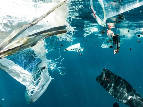 What Are The Main Causes Of Marine Pollution Major Ocean Threats And