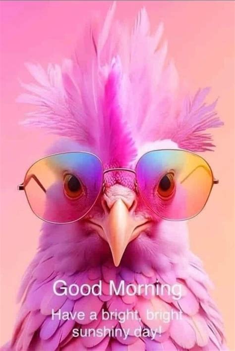 Pin On Funny Things In 2024 Good Morning Funny Pictures Good Morning