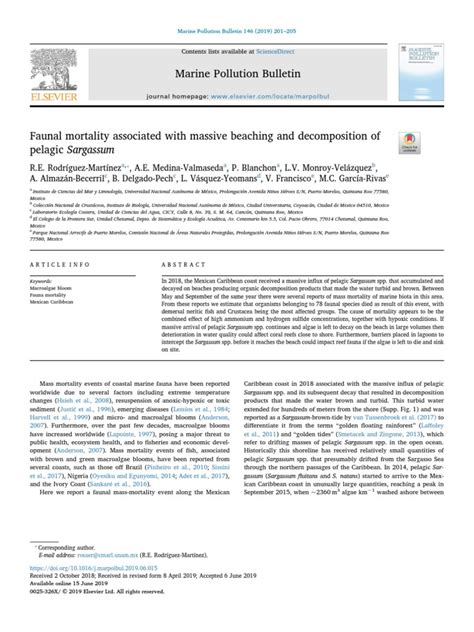 Rodríguez Martínez Et Al 2019 Pdf