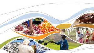 FAO SO Make Agriculture Forestry And Fisheries More Productive And Sustainable