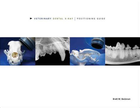 Veterinary Dental Radiography Positioning Guide X Ray Book Dr