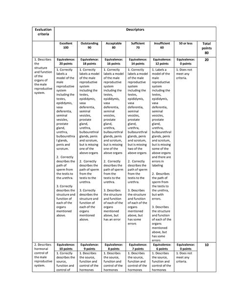 Ev3 Work Evaluation Criteria Descriptors Excellent 100 Outstanding