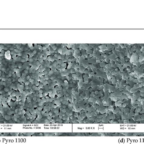 Sem Micrographs Of Surface A C And Cross Section D Of Ceramic