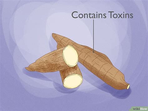 Cassava Vs Yucca Heres How Theyre Different