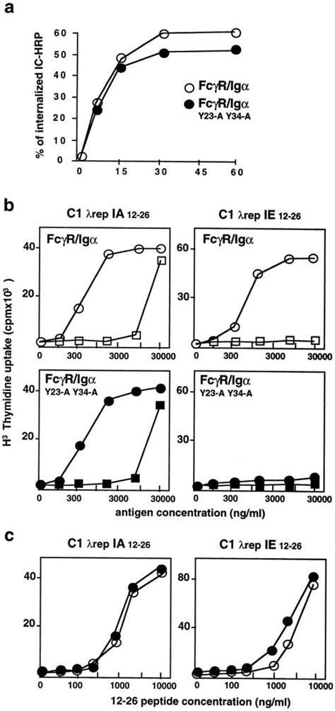 Tyrosine Residues Of Ig α Itam Are Involved In The Selective Download Scientific Diagram