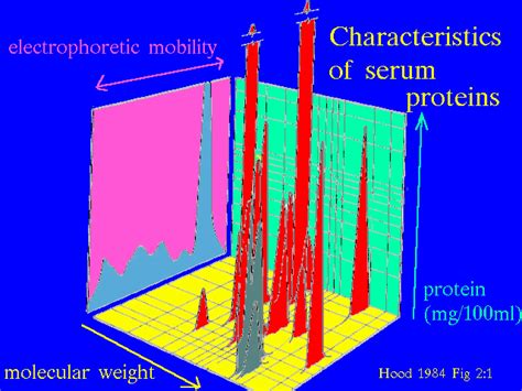 Immunoglobulin Structure And Functionppt
