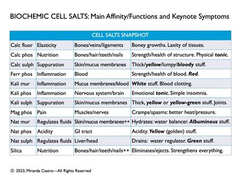 Biochemic Cell Salt 12 Silica Silicea