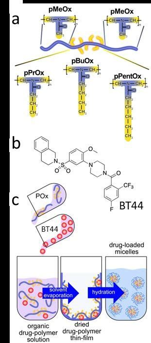 A Schematic Representation Of The Triblock Copolymers Used In This