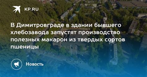 В Димитровграде в здании бывшего хлебозавода запустят производство полезных макарон из твердых