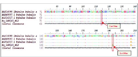 Proteins Sequence Alignment Of Buffalo α S1 Casein Bucsn1s1 Protein Download Scientific