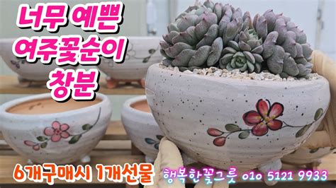너무 예쁜 여주꽃순이 창분🌸 6개구매시 1개선물🌸 행복한꽃그릇 010 5121 9933 전국택배가능 유료광고포함 Youtube