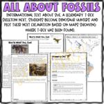 All About Fossils Made By Teachers