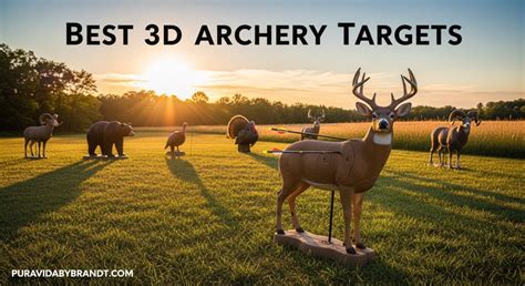 15 Best 3d Archery Targets July 2026 Expert Tested And Reviewed
