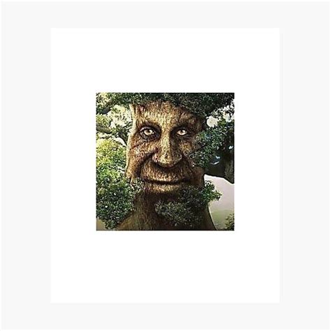 Mystical Tree Meme Meme Mystical Tree Mystical Tree Tiktok Funny Tree Tree Face